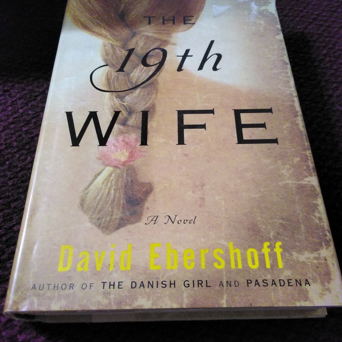 The 19th Wife by David Ebershoff