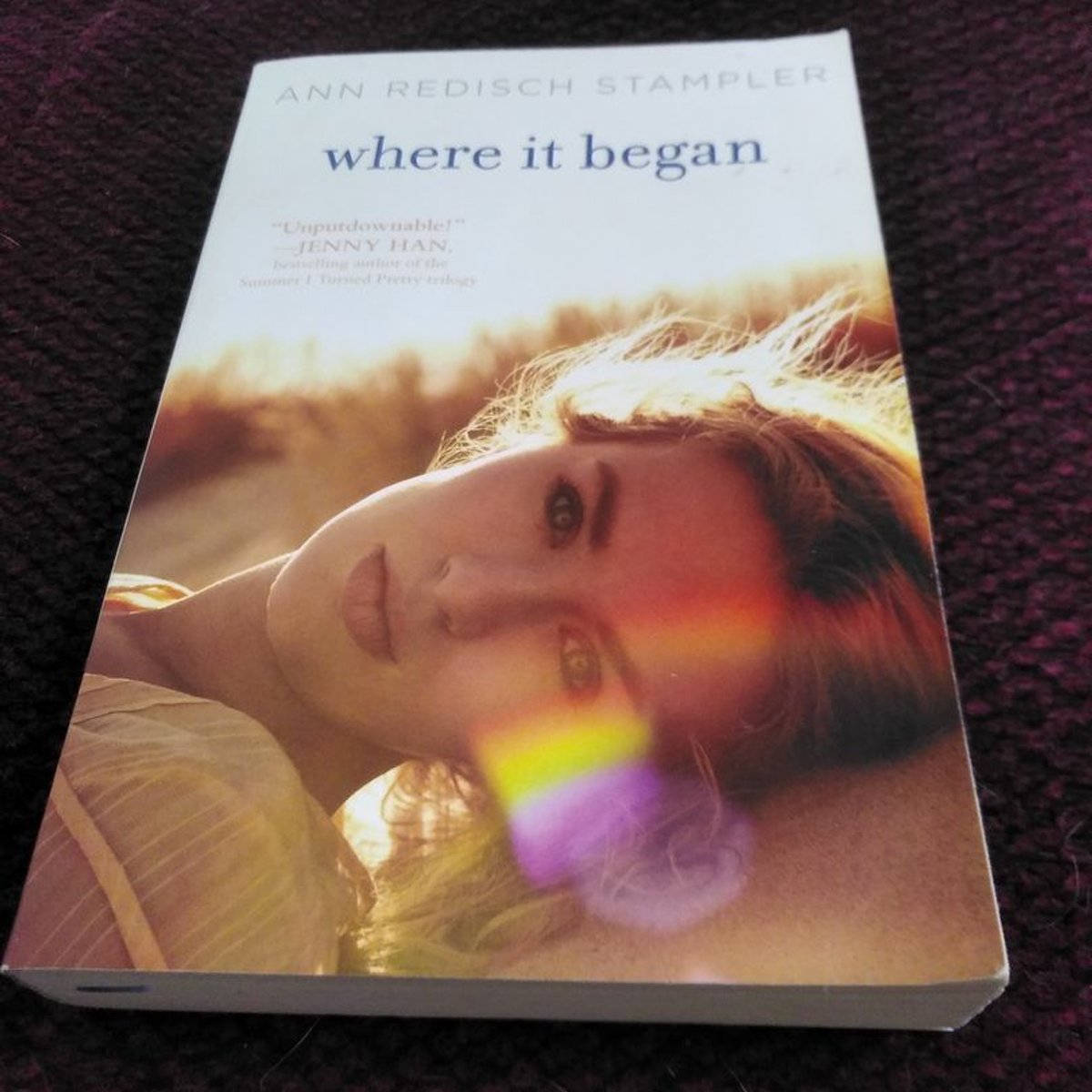 Where It Began by Ann Redisch Stampler
