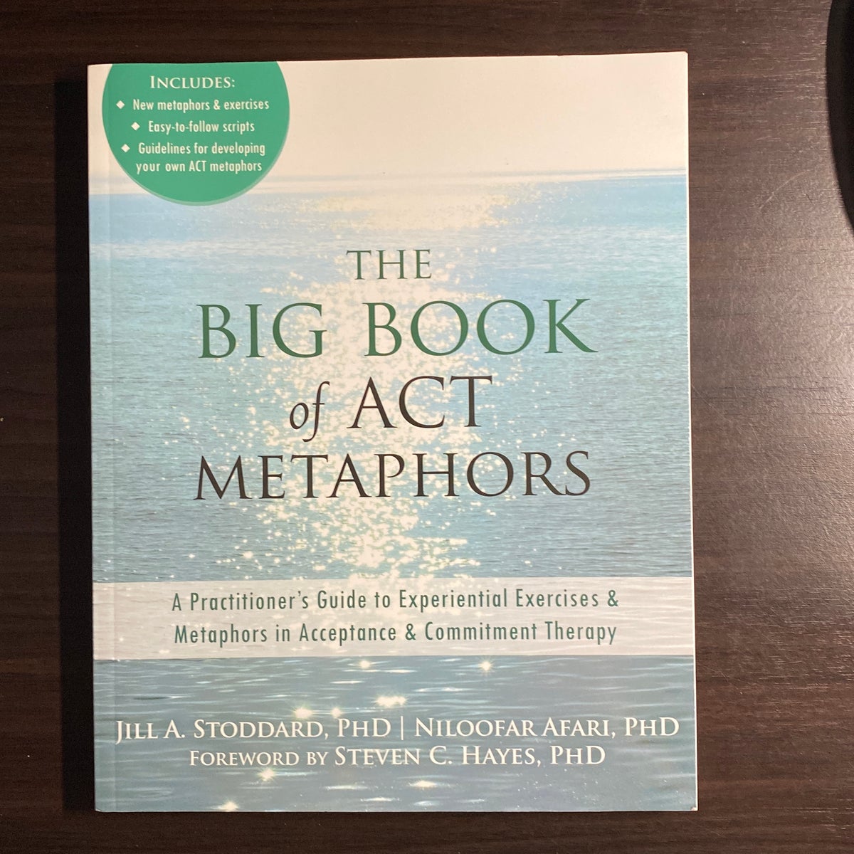 The Big Book of ACT Metaphors by Jill A. Stoddard, Niloofar Afari ...