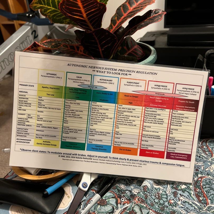 Autonomic Nervous System: Precision Regulation by Babette Rothschild ...