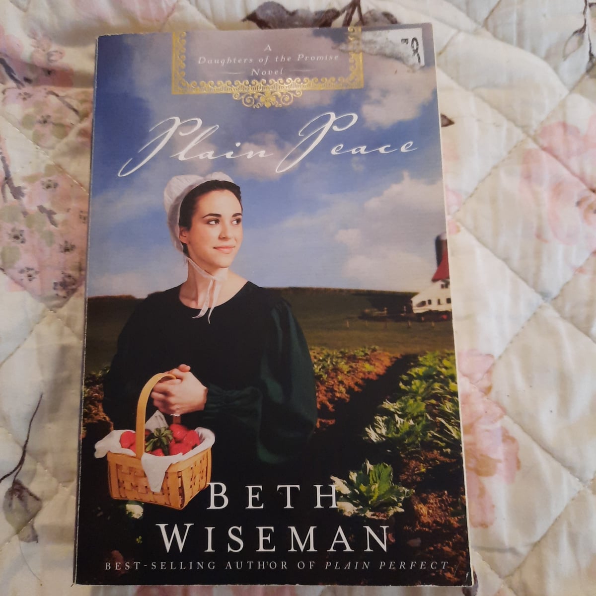 Plain Peace by Beth Wiseman, Paperback | Pangobooks