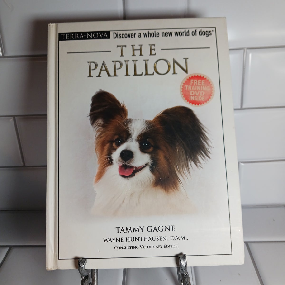 The Papillon by Tammy Gagne, Hardcover | Pangobooks