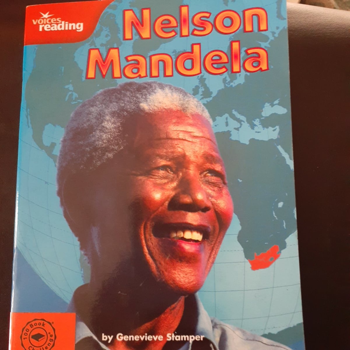 Nelson Mandela by G. C. Stamper