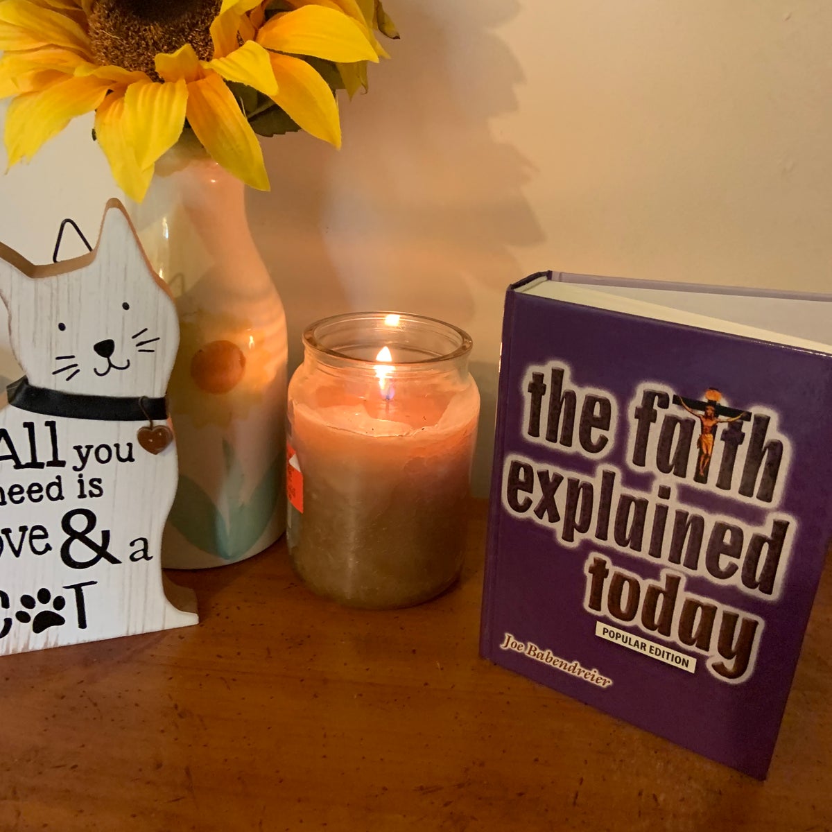 The Faith Explained Today by Joe Babendrier, Hardcover | Pangobooks