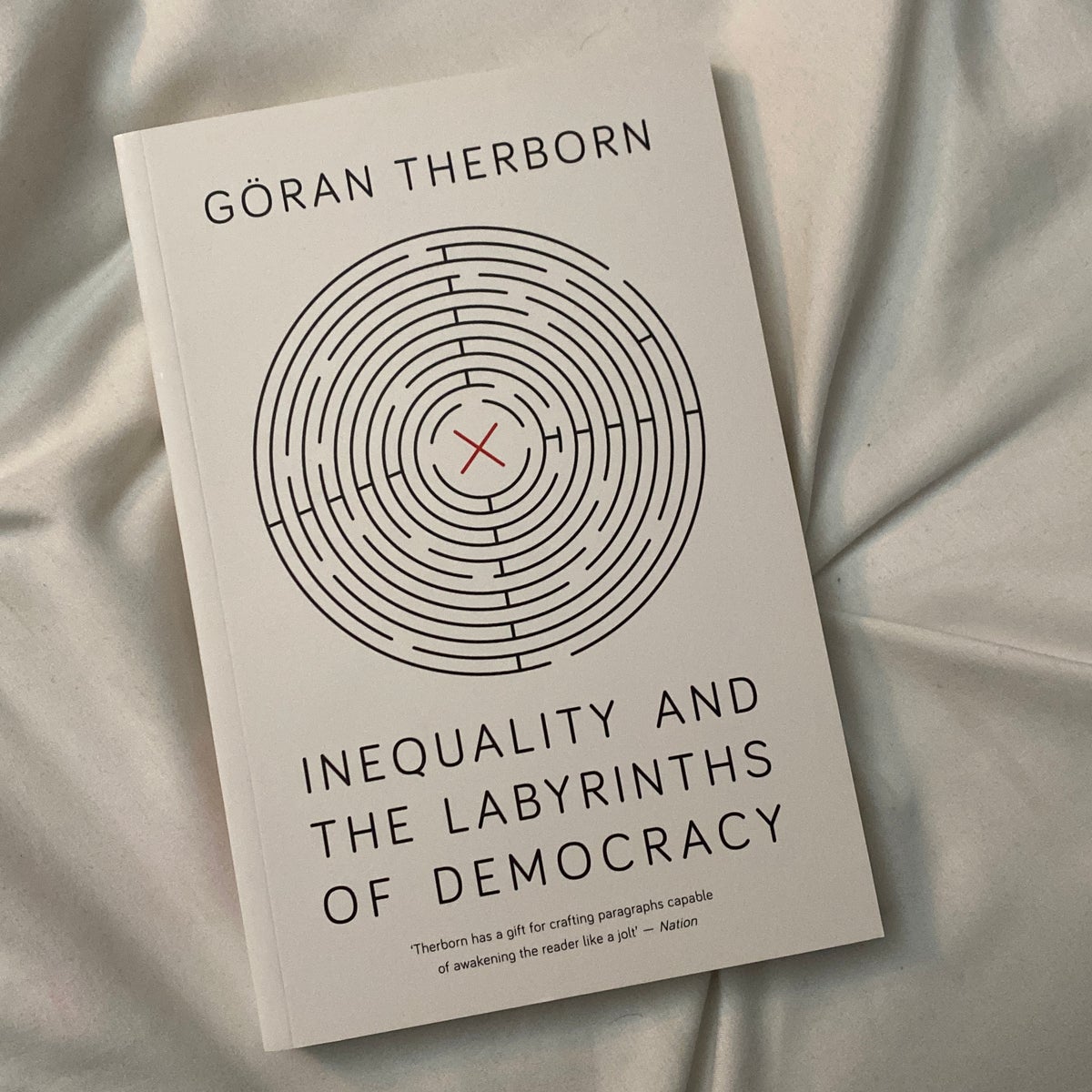 Inequality and the Labyrinths of Democracy by Goran Therborn