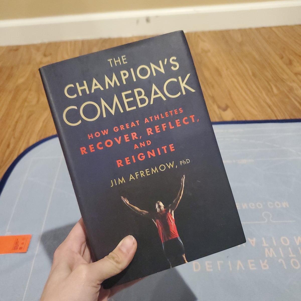 The Champion's Comeback by Jim Afremow