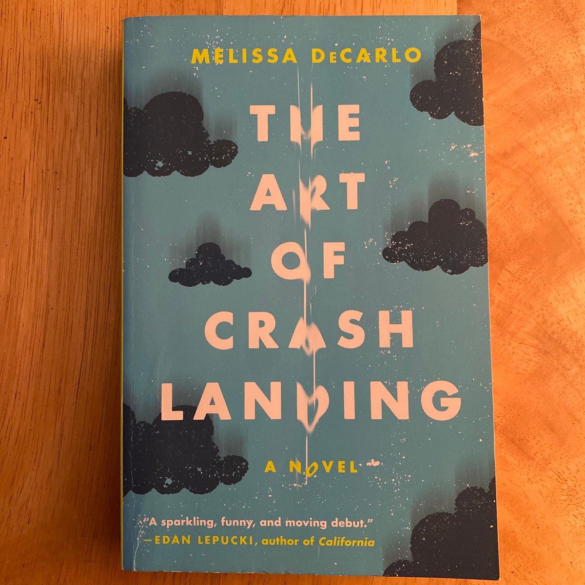 The Art of Crash Landing by Melissa DeCarlo