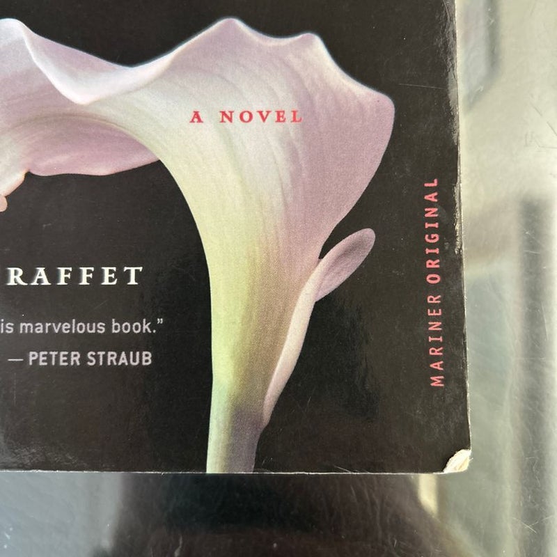 Josie and Jack by Kelly Braffet