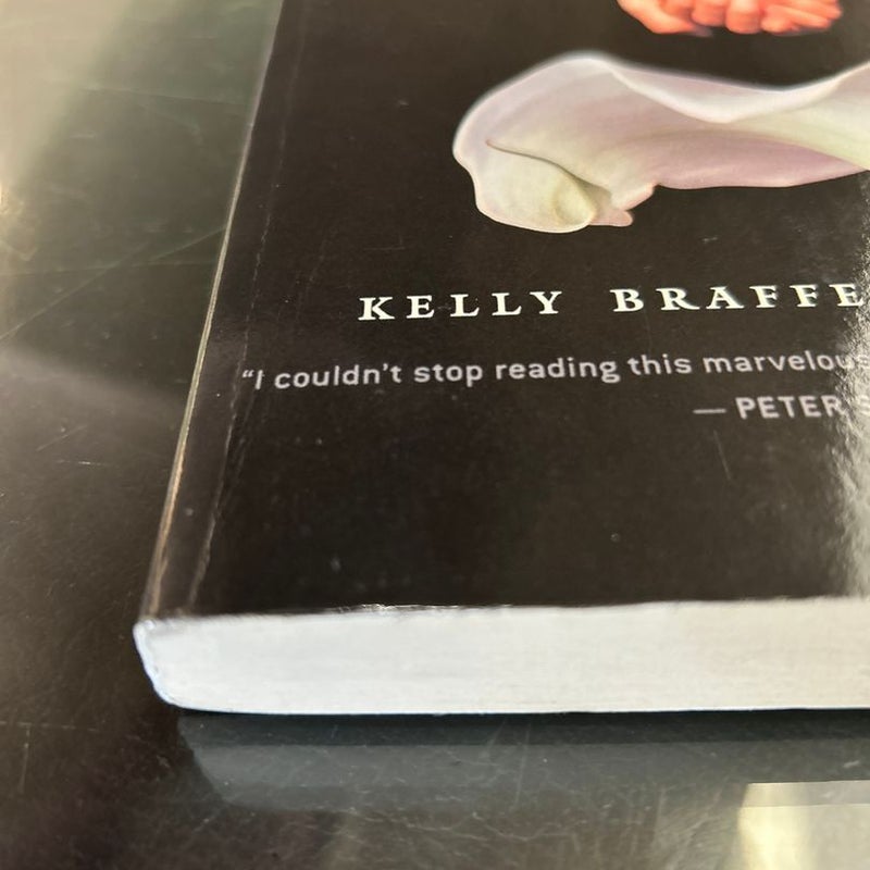 Josie and Jack by Kelly Braffet