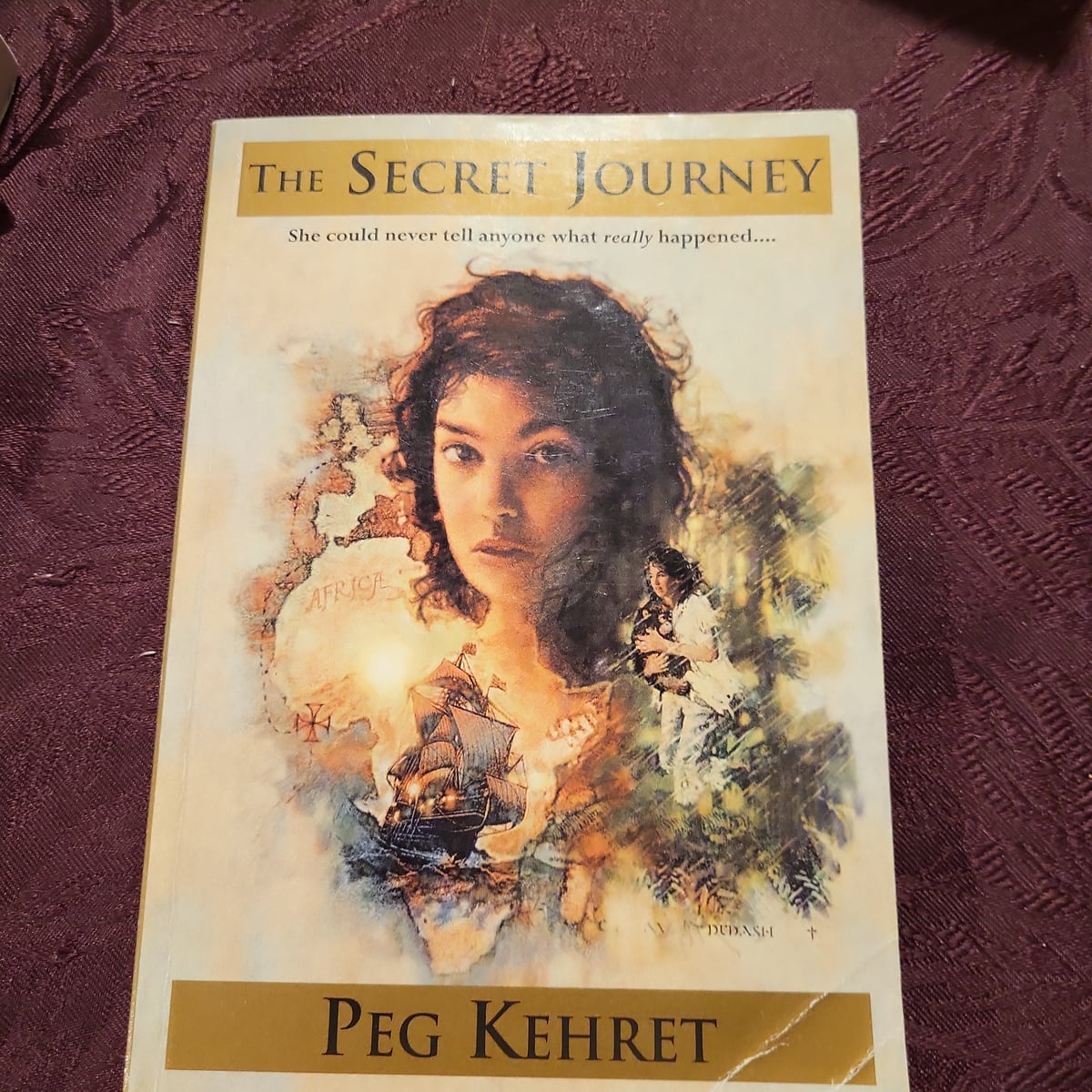 The Secret Journey by Peg Kehret