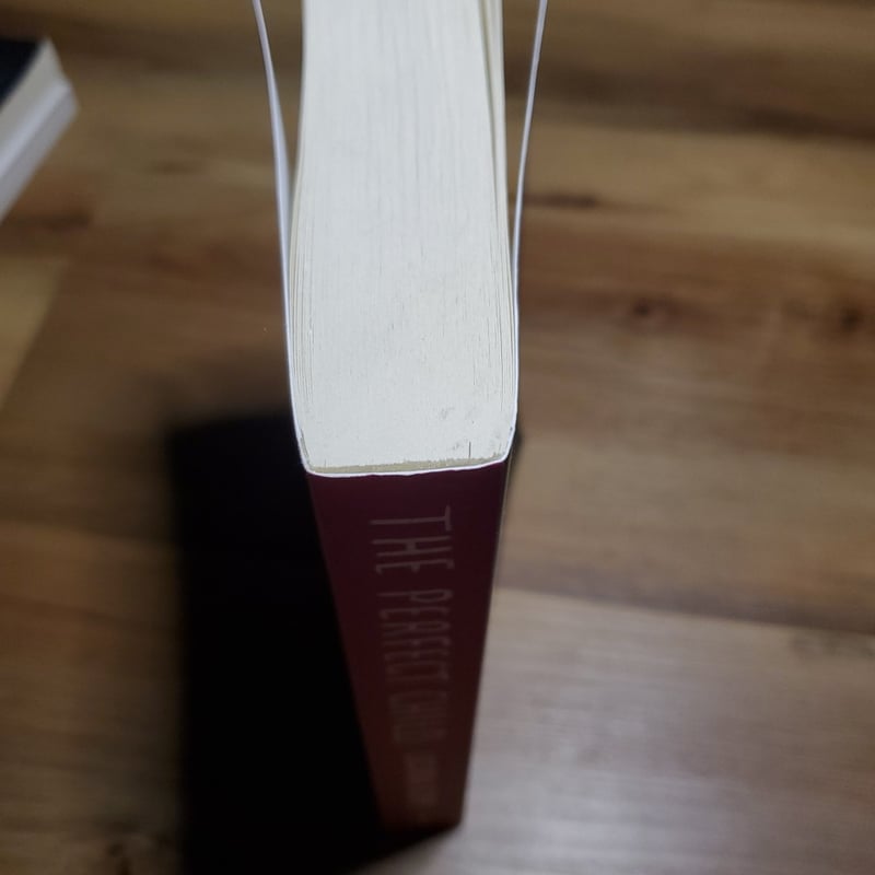 The Perfect Child by Lucinda Berry | Pangobooks