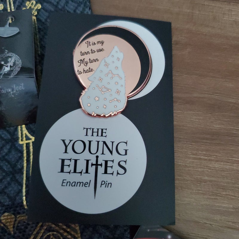 Fairyloot pin banner and 4 pins by Fairyloot , Paperback | Pangobooks