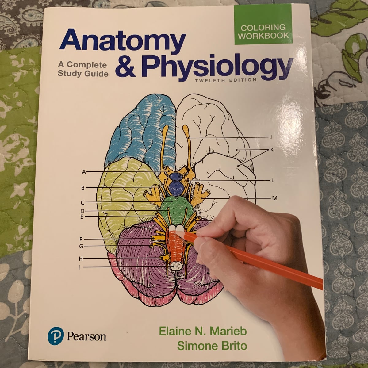 Anatomy and Physiology Coloring Workbook