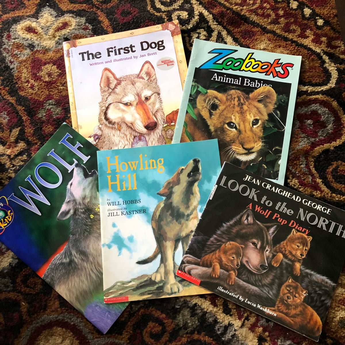 Animal Babies by Marjorie B. Shaw, John Bonnett Wexo