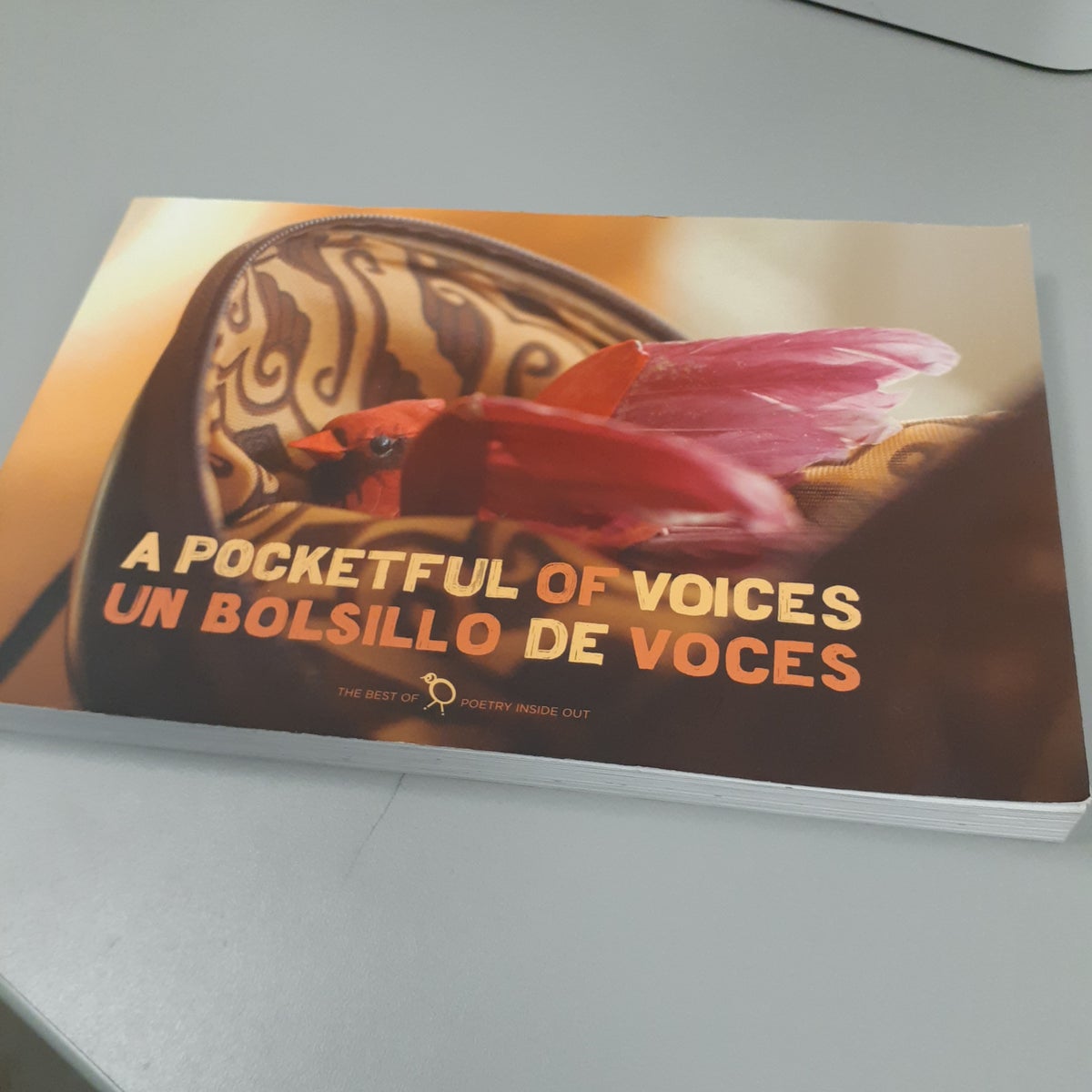 A Pocketful of Voices/Un Bolsillo de Voces by Maria Gould, Paperback ...