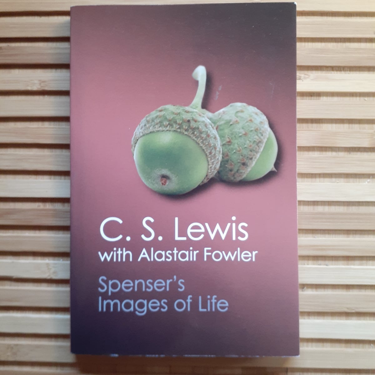 Spenser's Images of Life by C. S. Lewis, Alastair Fowler