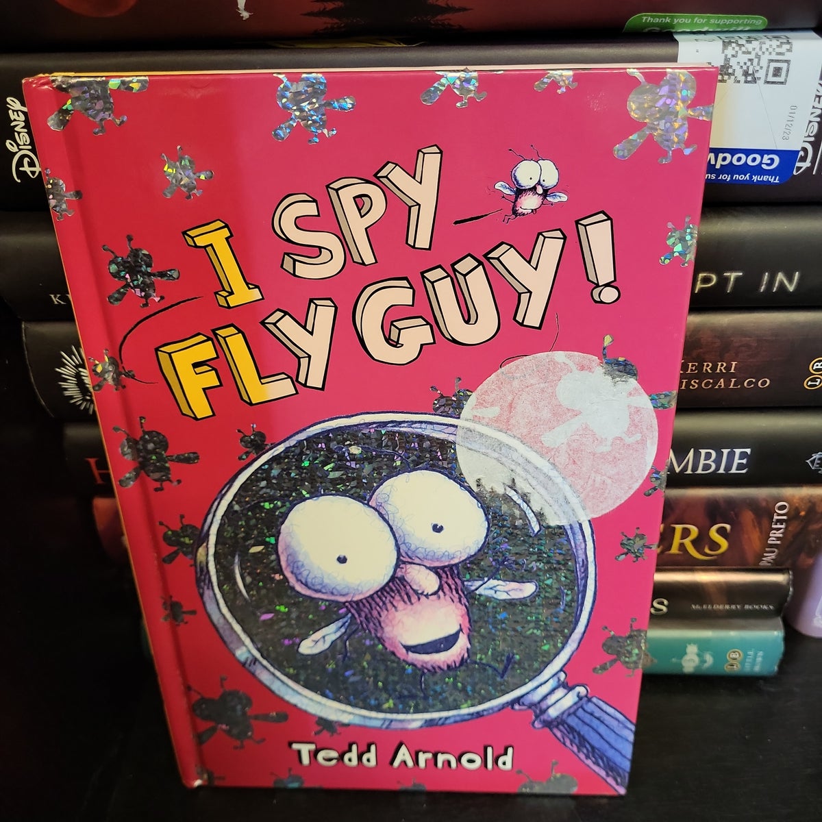 I Spy Fly Guy! by Tedd Arnold, Hardcover | Pangobooks