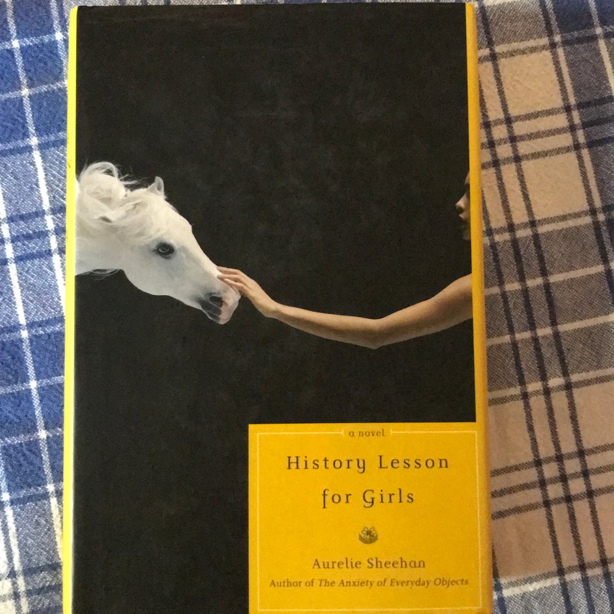 History Lesson for Girls by Aurelie Sheehan