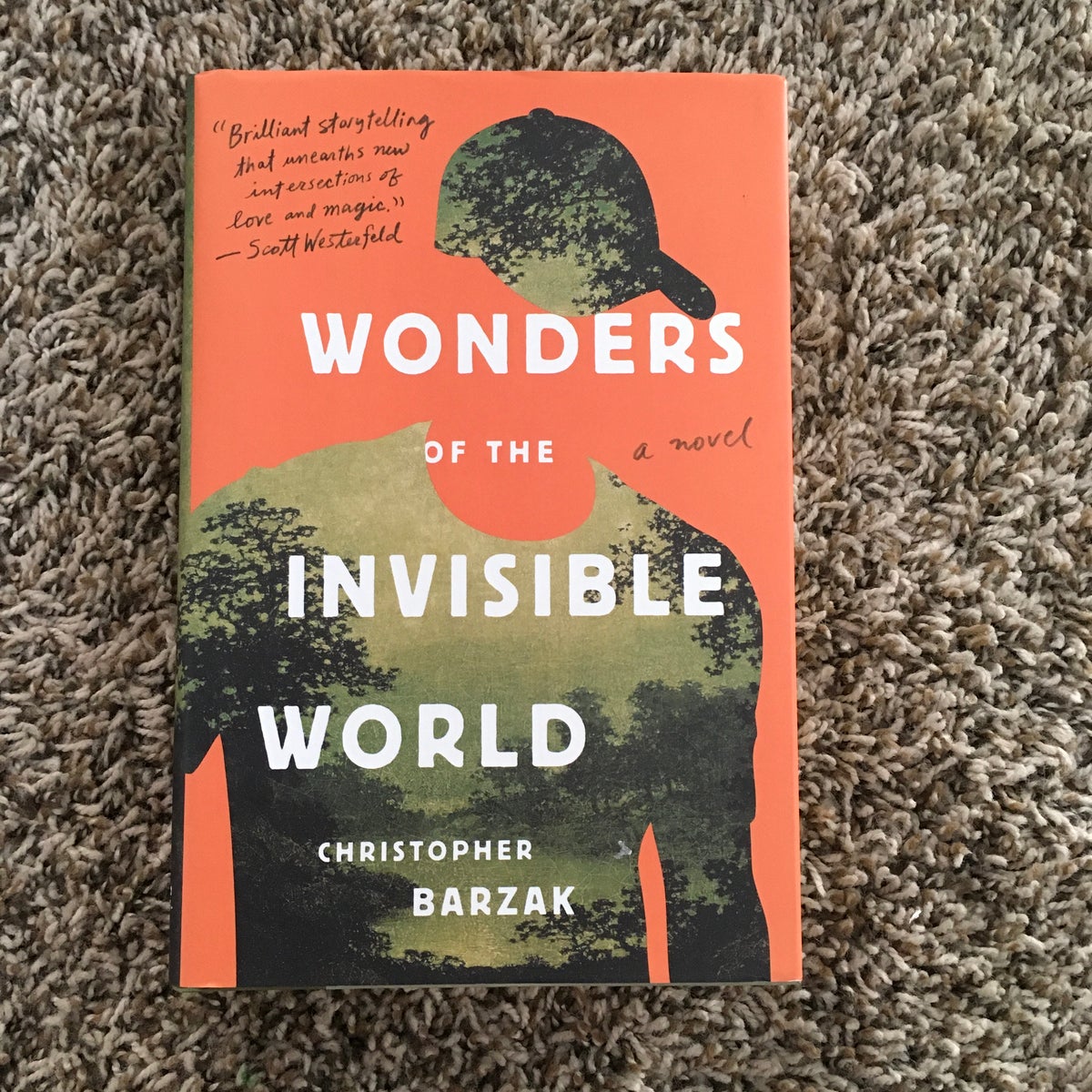 Wonders of the Invisible World