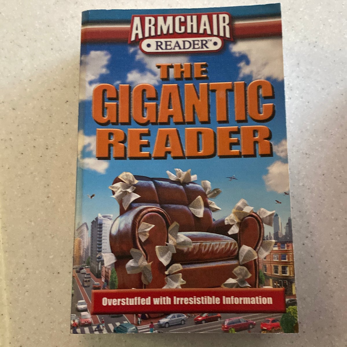 Armchair Reader the Gigantic Reader by West Side Staff