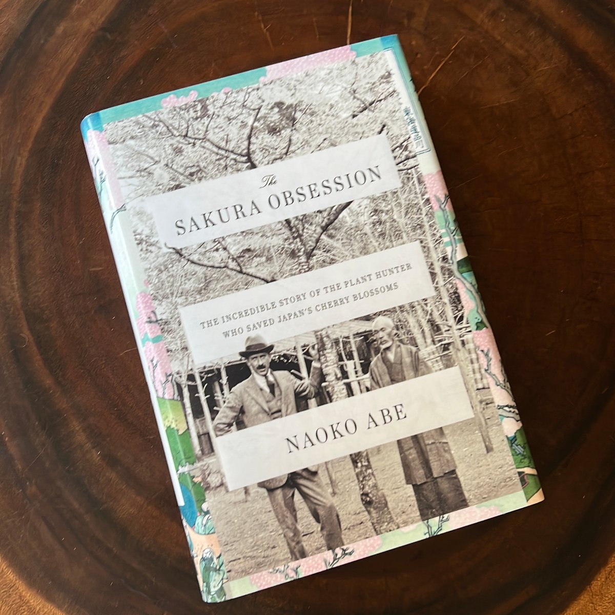 The Sakura Obsession by Naoko Abe