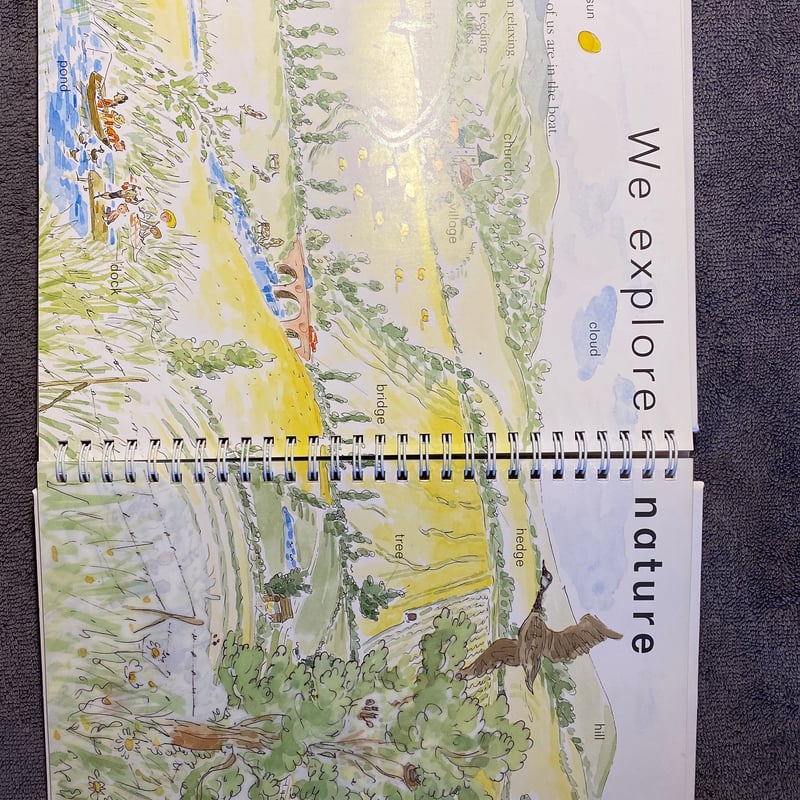 Scholastic First Picture Dictionary