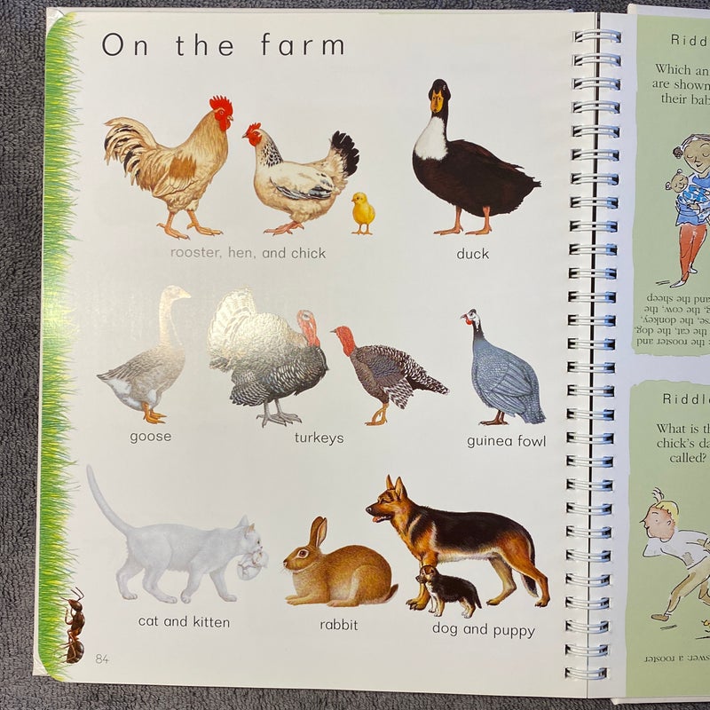 Scholastic First Picture Dictionary