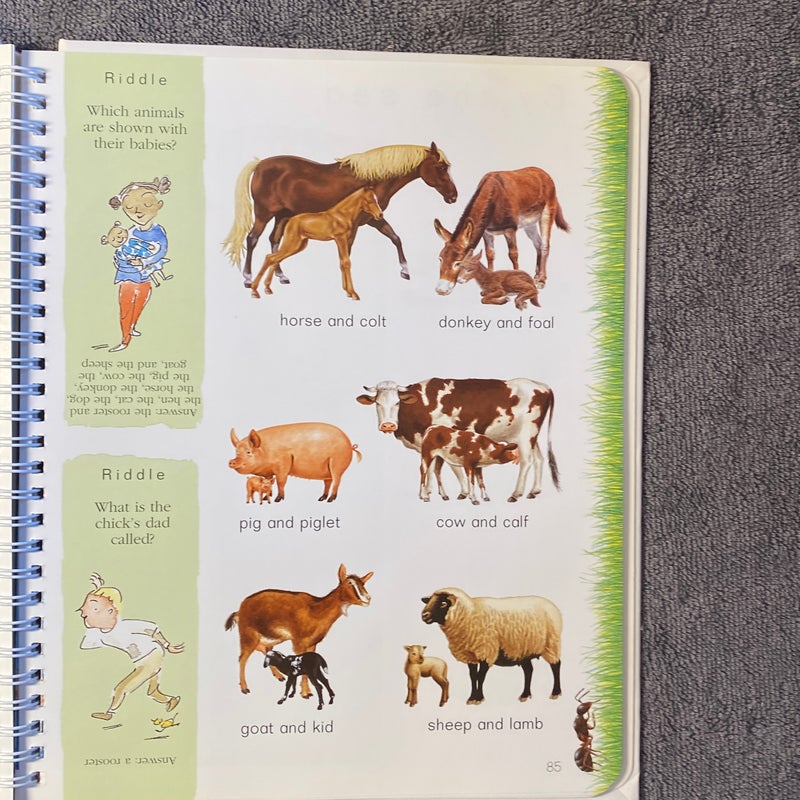 Scholastic First Picture Dictionary