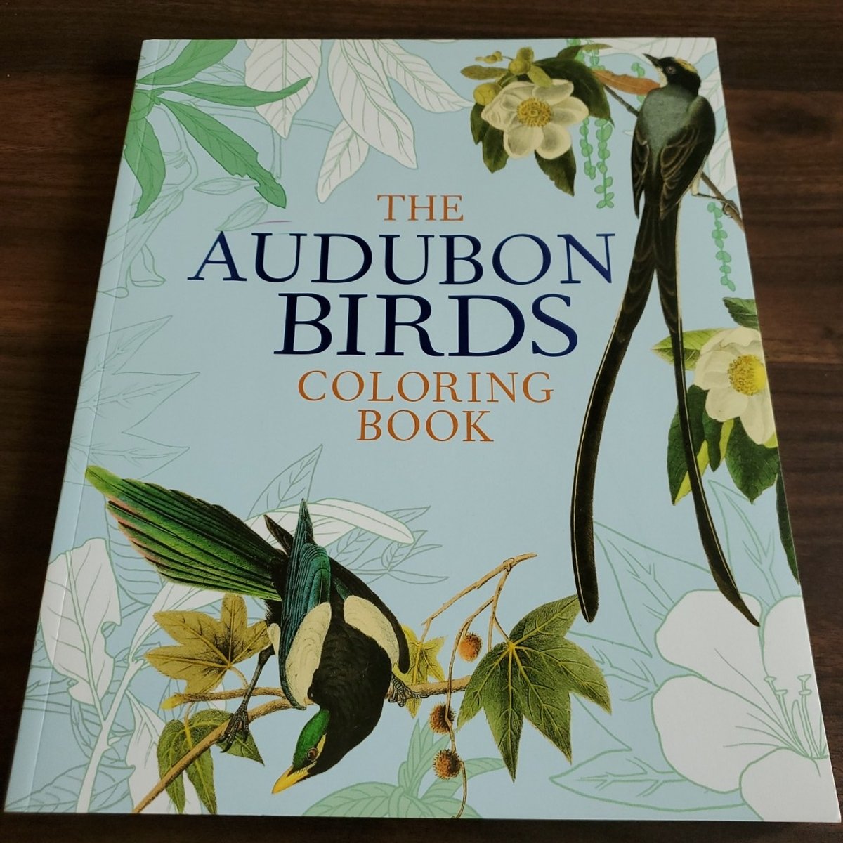 The Audubon Birds Coloring Book by John James Audubon | Pangobooks