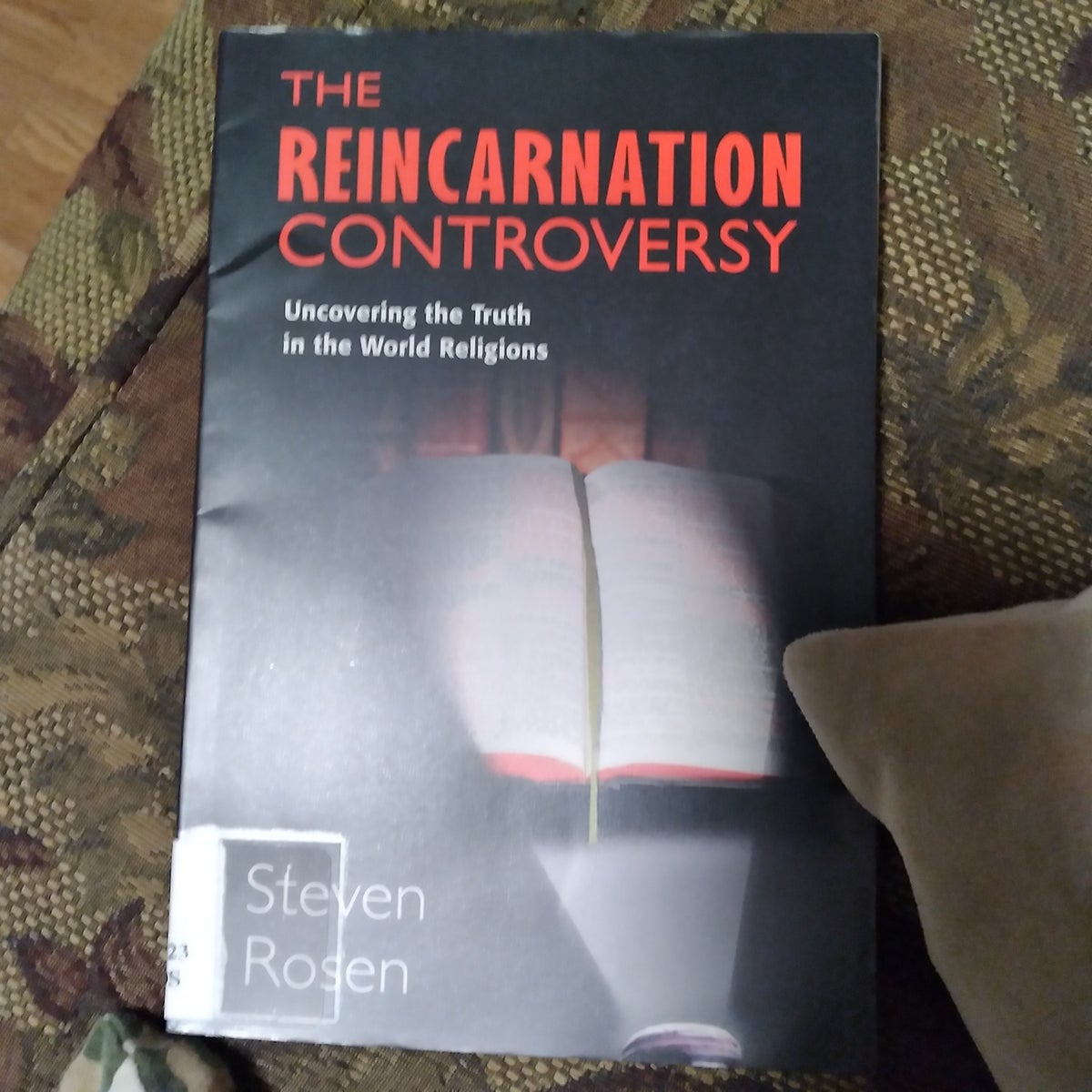 The Reincarnation Controversy by Steven J. Rosen