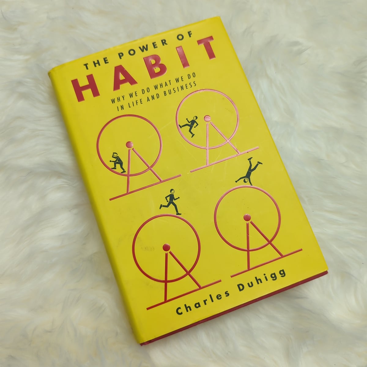 The Power of Habit by Charles Duhigg, Hardcover | Pangobooks