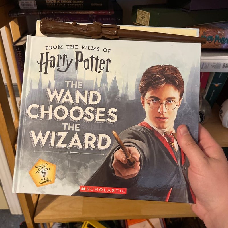 The Wand Chooses the Wizard by Christina Pulles