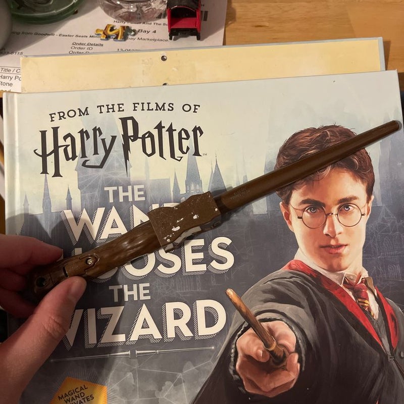 The Wand Chooses the Wizard by Christina Pulles