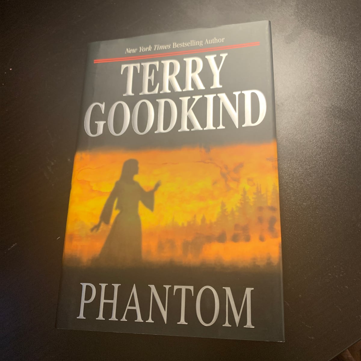Phantom by Terry Goodkind