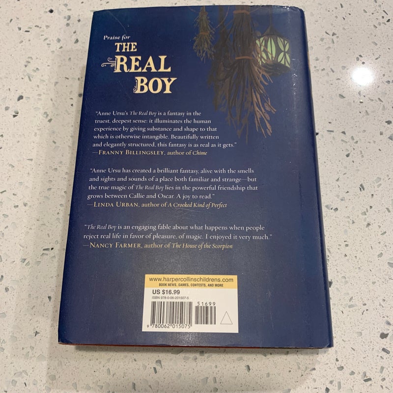 The Real Boy by Anne Ursu, Hardcover | Pangobooks