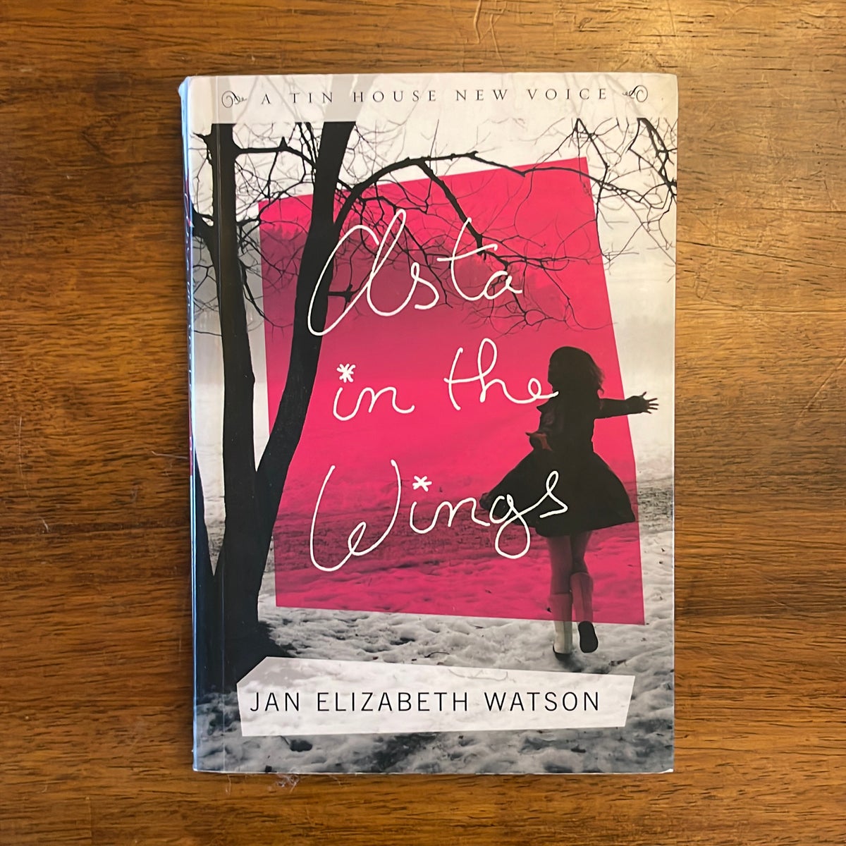 Asta in the Wings by Jan Elizabeth Watson