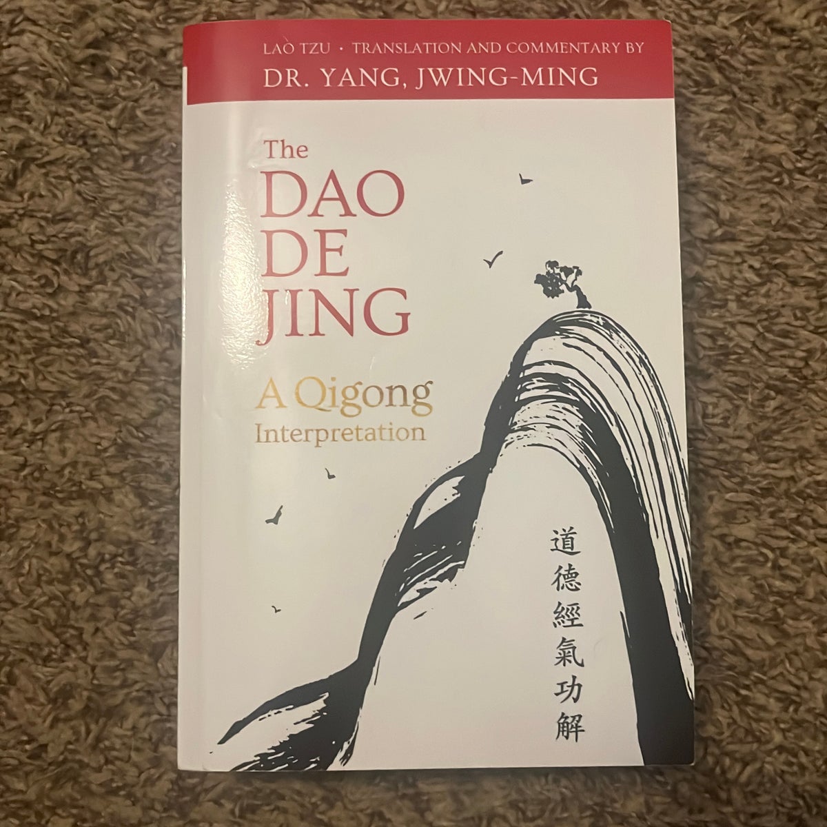 The Dao de Jing by Jwing-Ming Yang, Lao Tzu