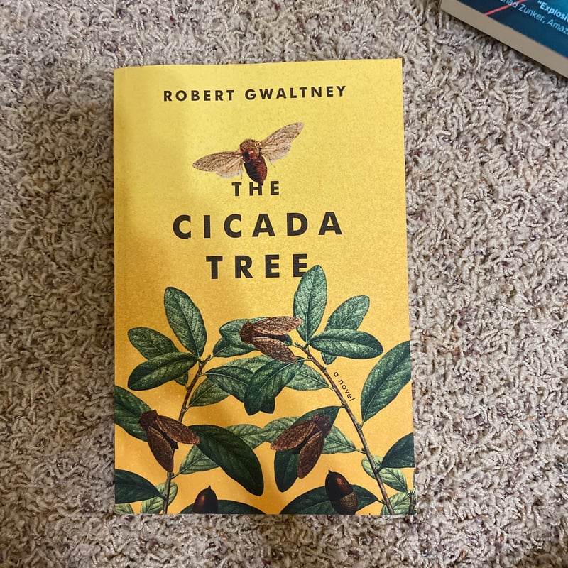 The Cicada Tree