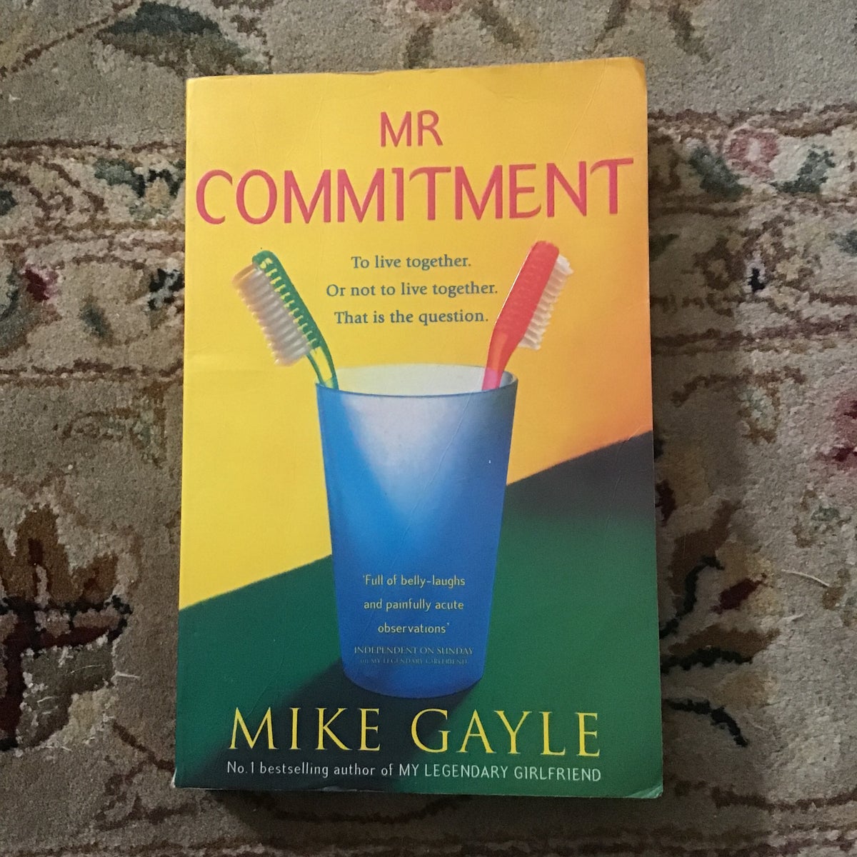 Mr Commitment by Mike Gayle