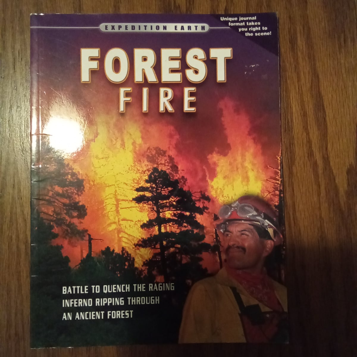 Forest Fire by Neil Morris, Dougal Dixon