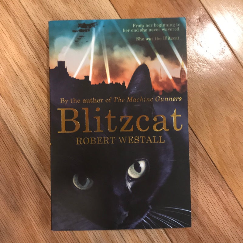 Blitzcat by Robert Westall, Paperback | Pangobooks