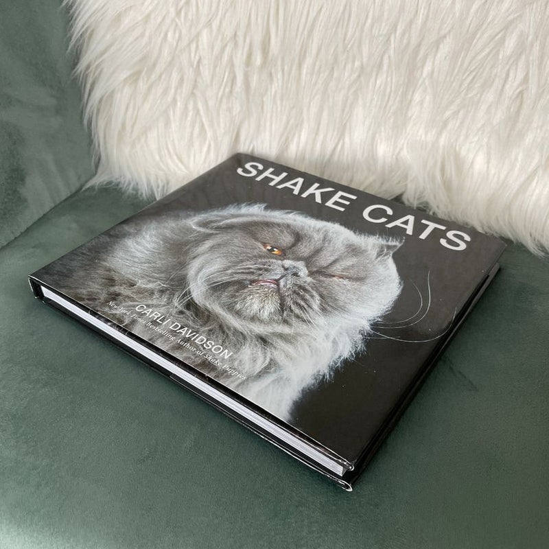 Shake Cats by Carli Davidson, Hardcover | Pangobooks