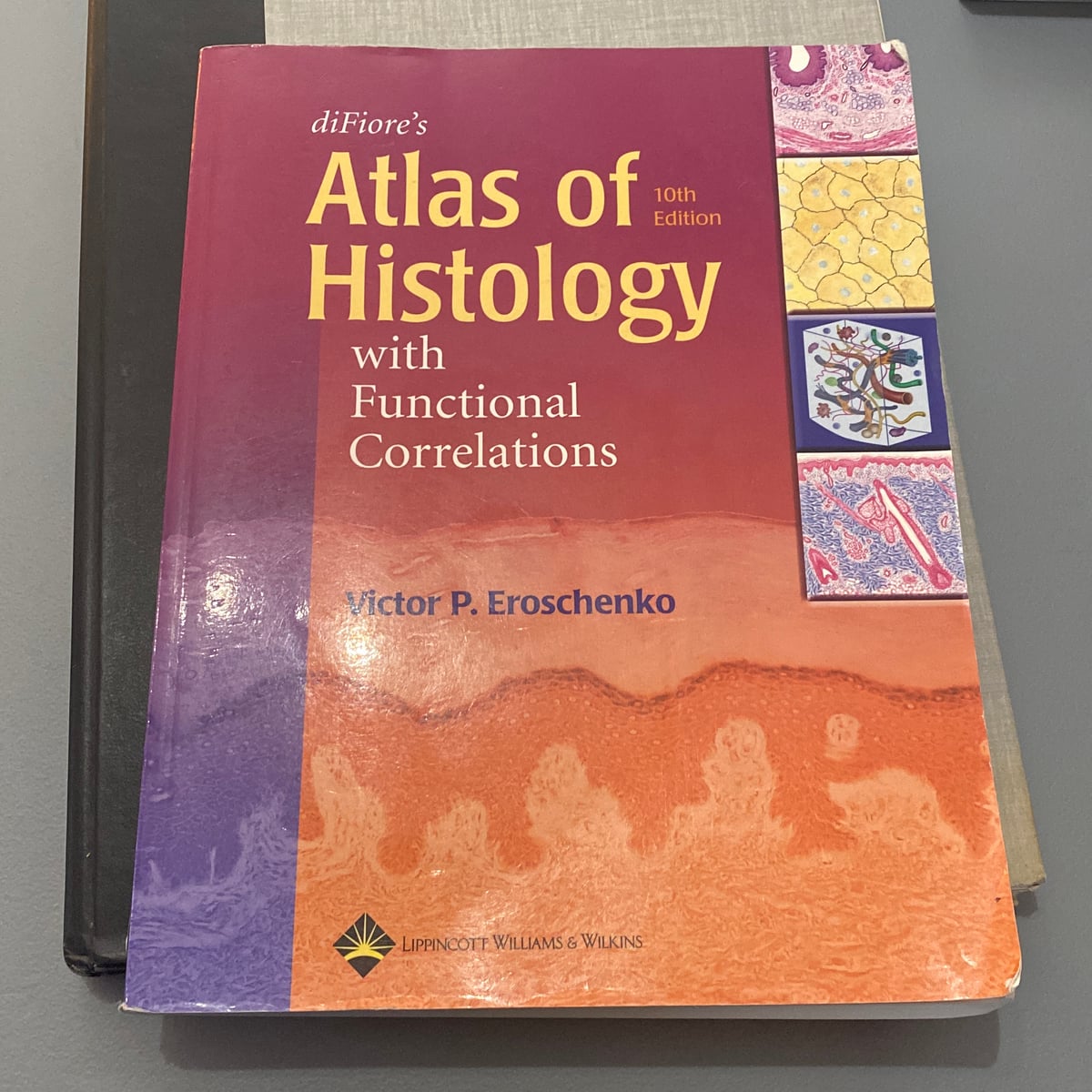 Difiore's Atlas of Histology with Functional Correlations by Victor P ...