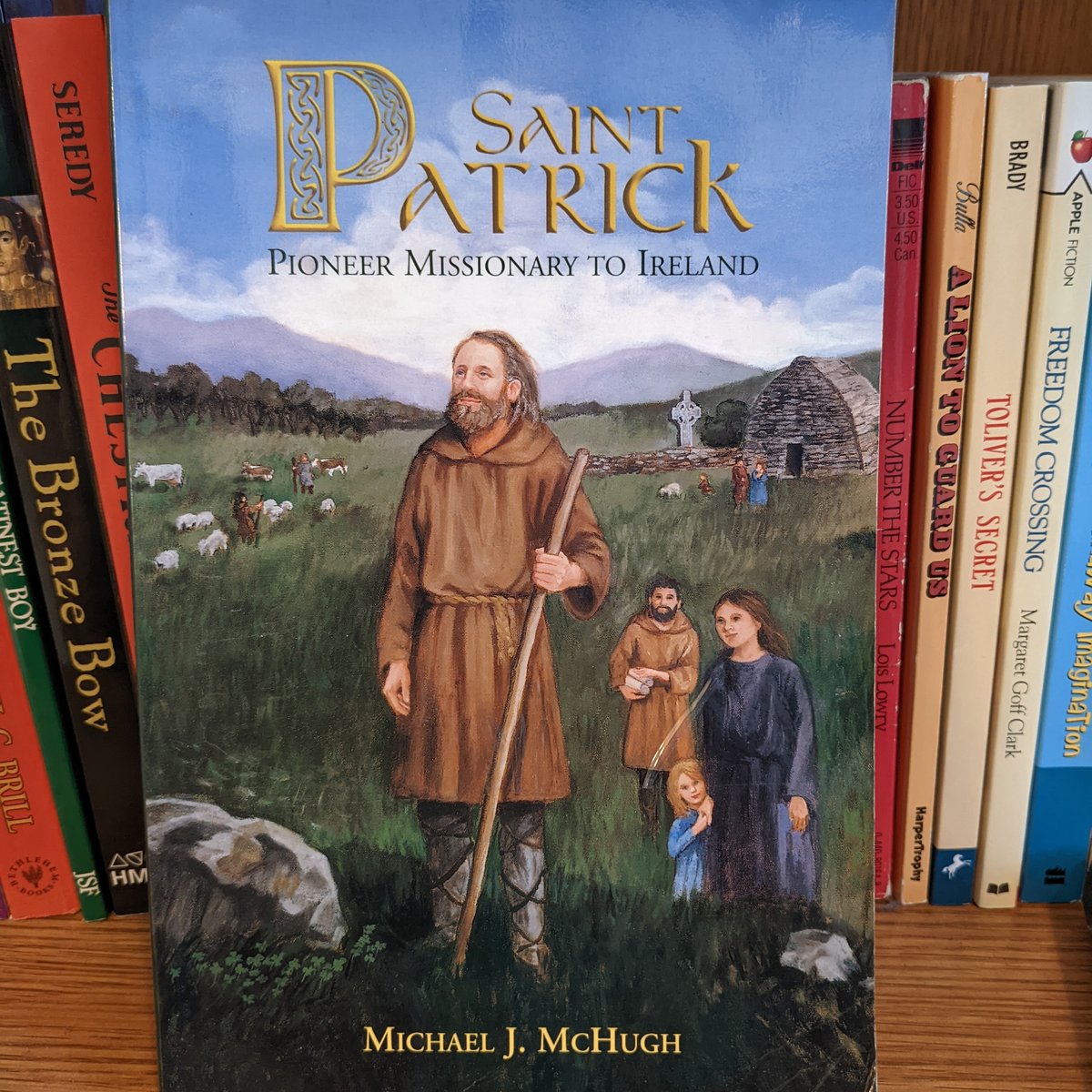 Saint Patrick by Michael J. McHugh
