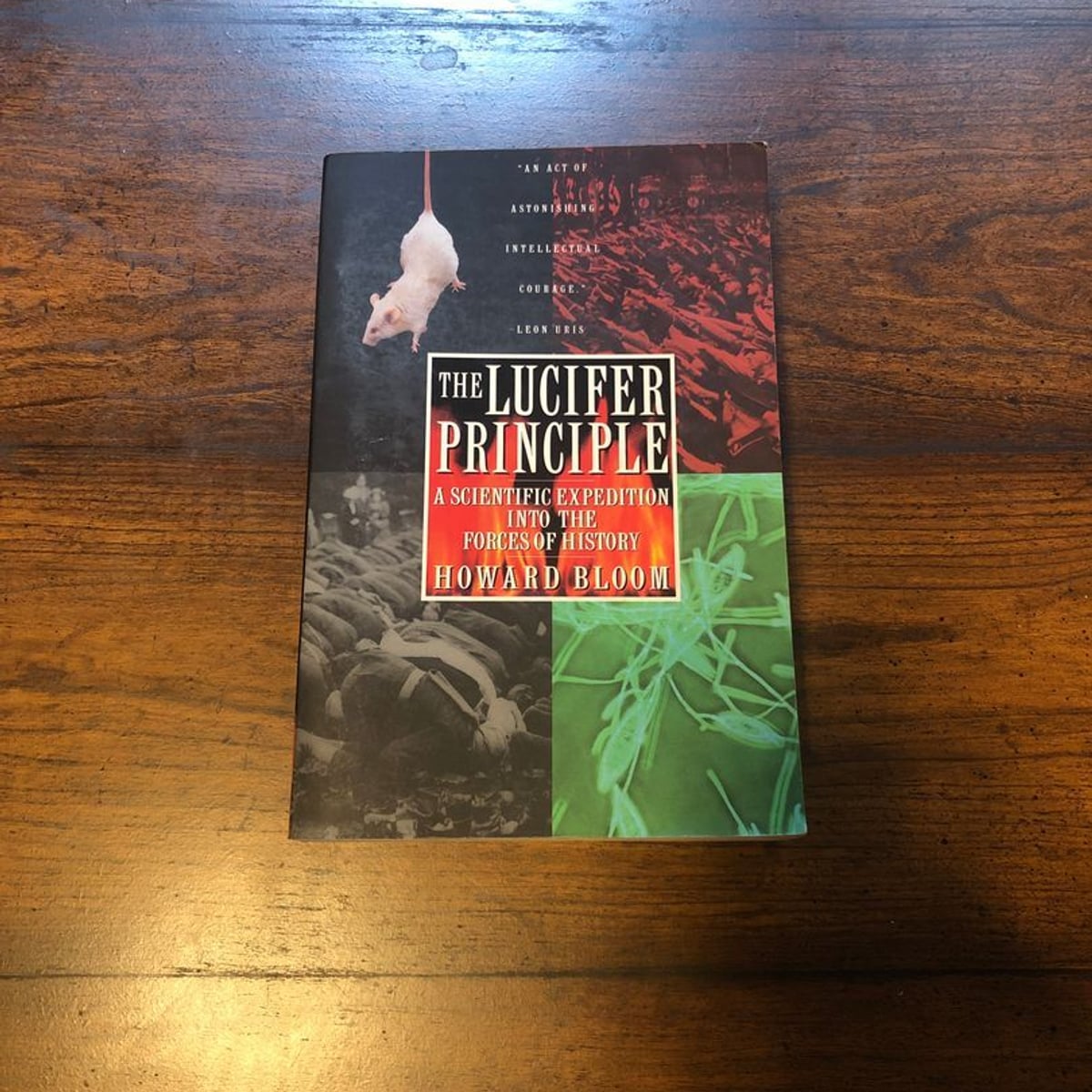 Lucifer Principle by Howard Bloom, Paperback | Pangobooks