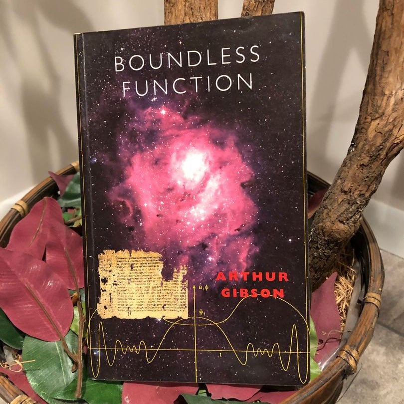 Boundless Function by Arthur Gibson