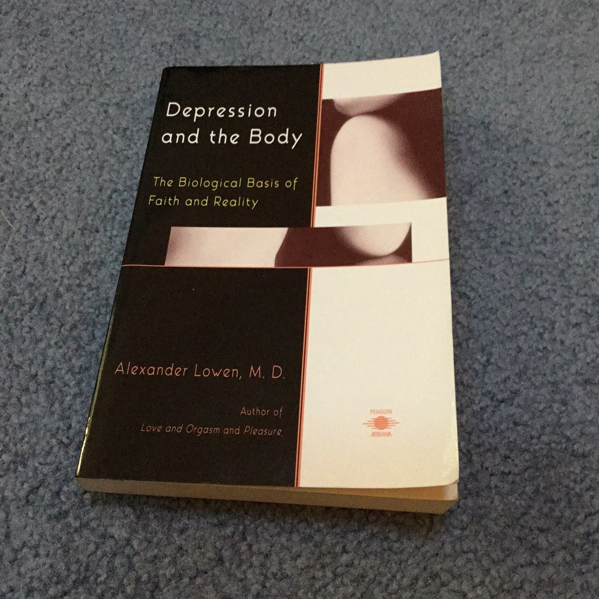 Depression And The Body By Alexander Lowen Paperback Pangobooks