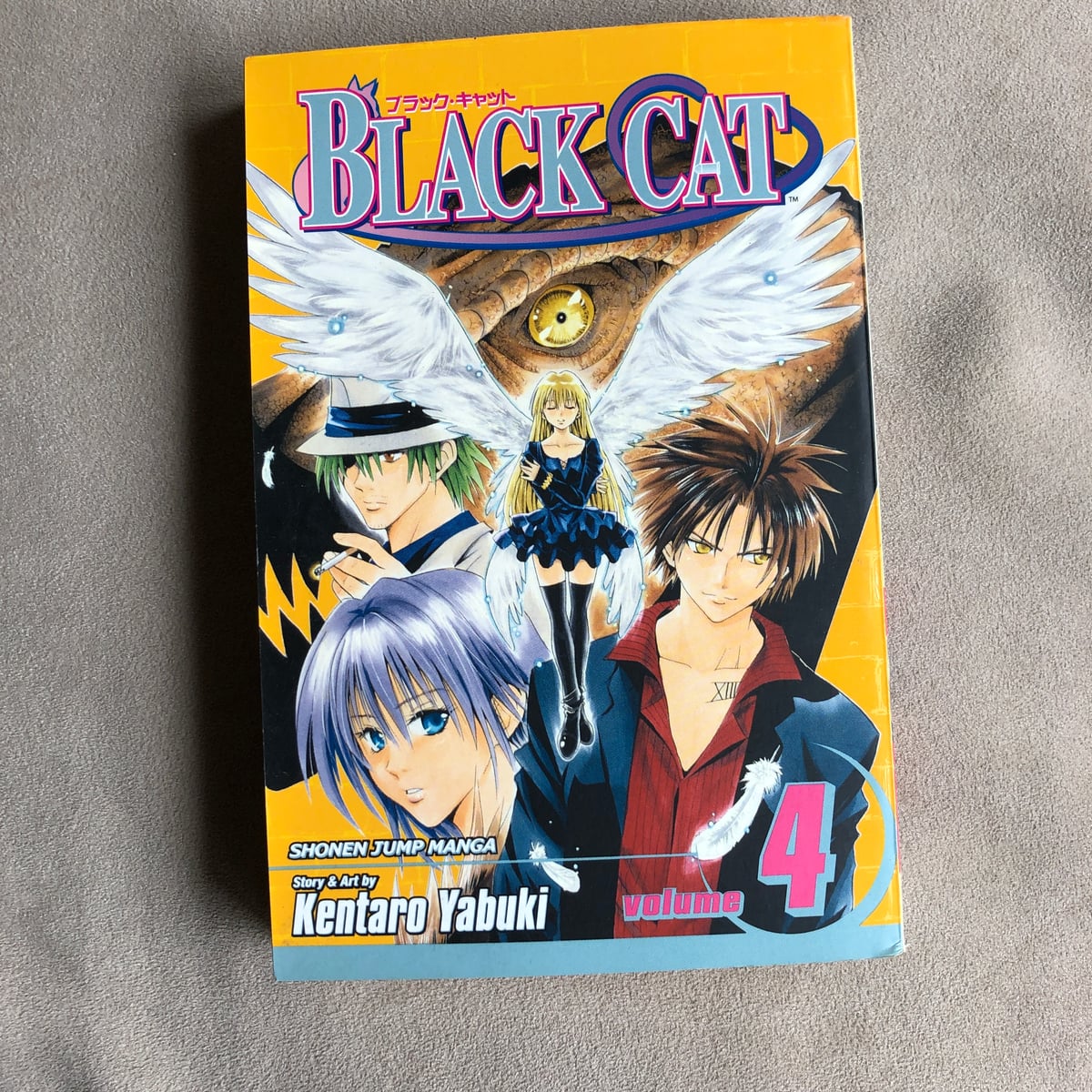 Black Cat, Vol. 4 by Kentaro Yabuki