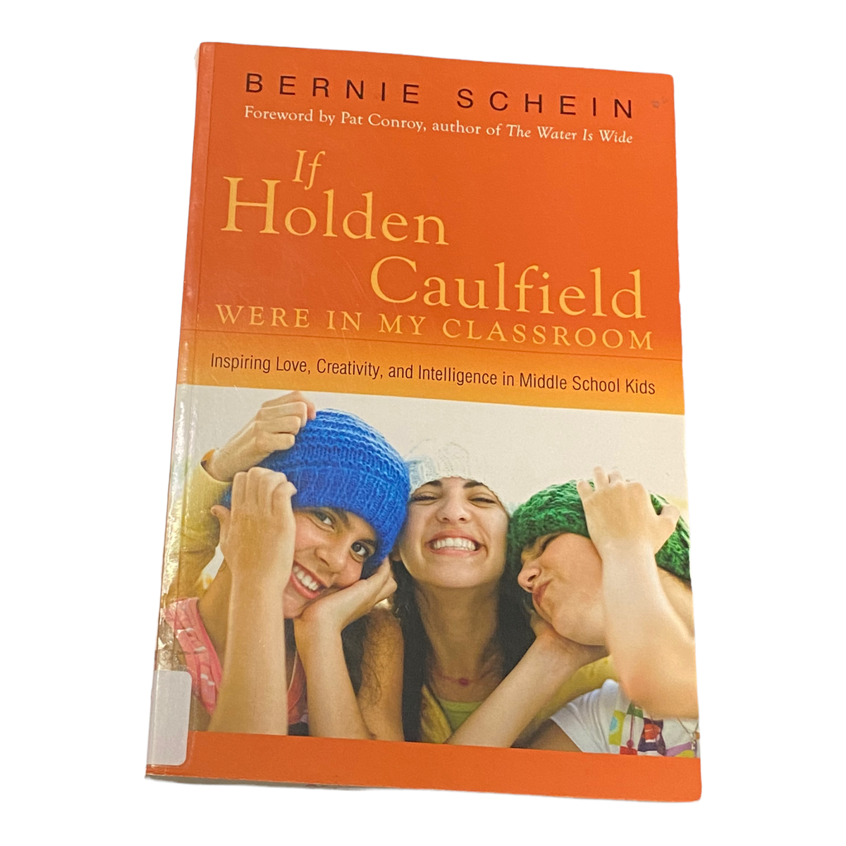 If Holden Caulfield Were in My Classroom by Bernard Schein
