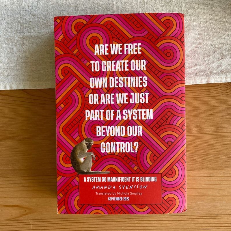 A System So Magnificent it is Blinding *ARC* by Amanda Svensson ...